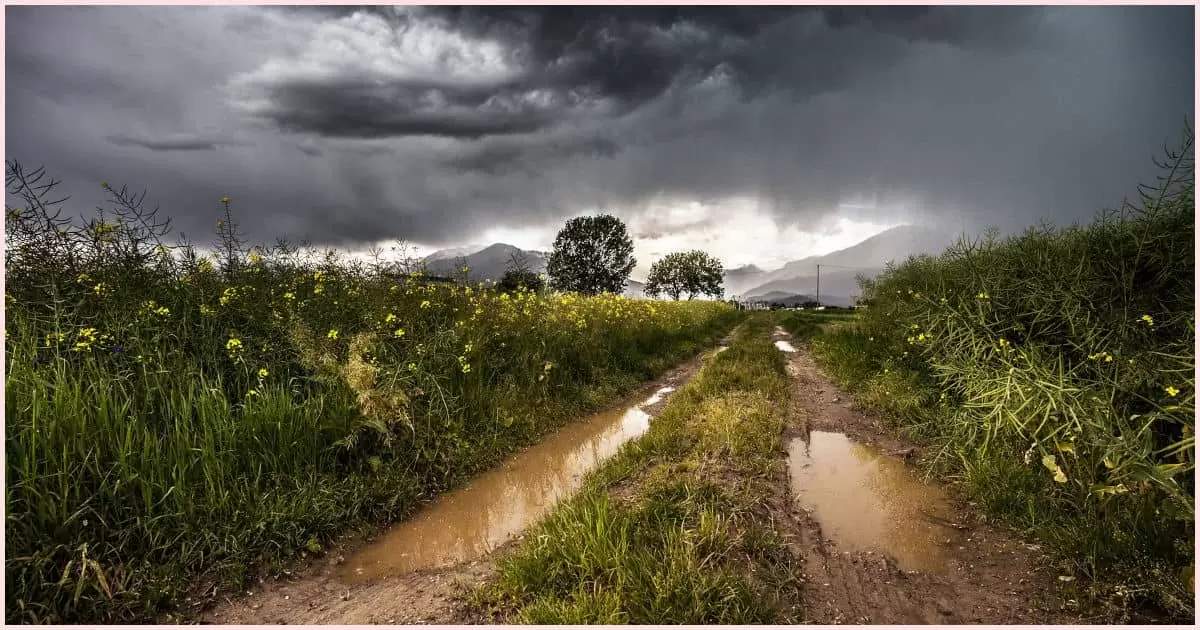 The Vanishing Point In Art: The Magic Of Perspective - Squishing Paint